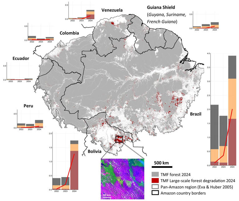 Record-breaking 2024 Amazon fires drive unprecedented carbon emissions ...
