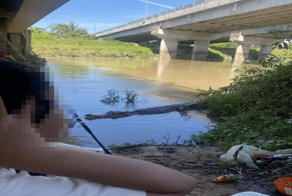 Was it AI? Perhilitan says Sungai Kinta crocodile sighting is a hoax