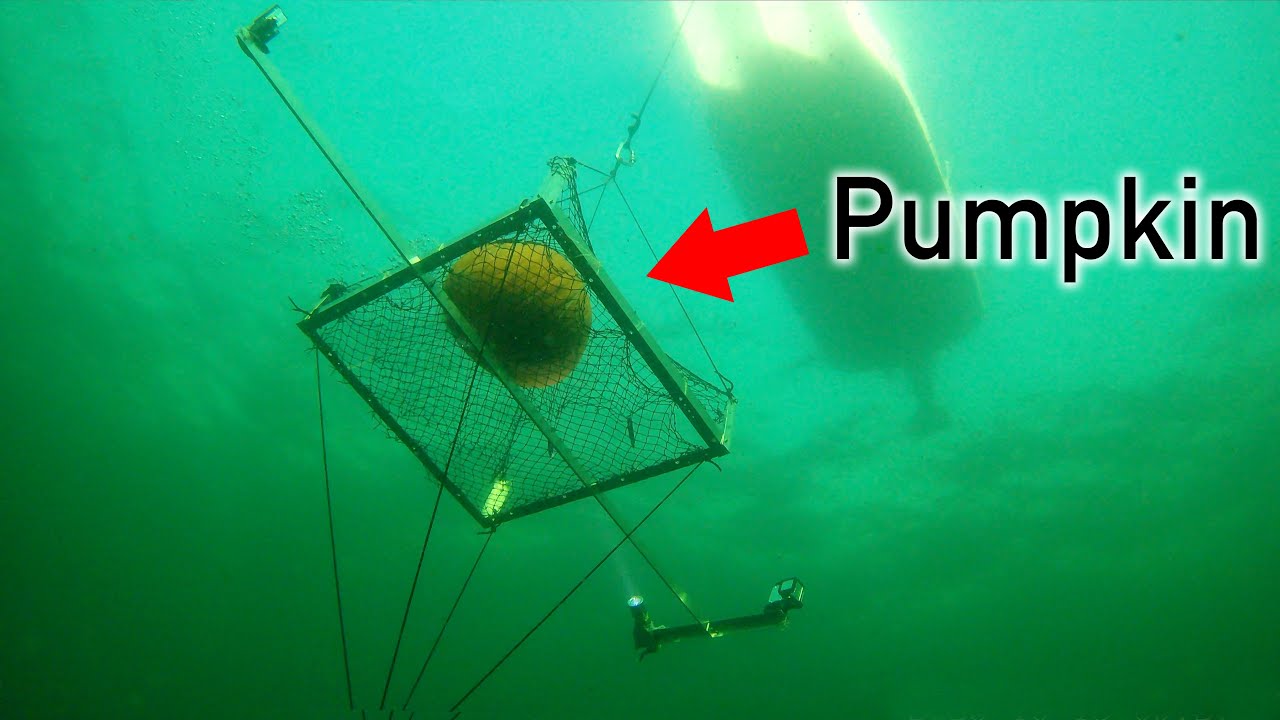 Pumpkin ImplosionPumpkin Implosion at 600ft Deep — Extreme Experiment ...