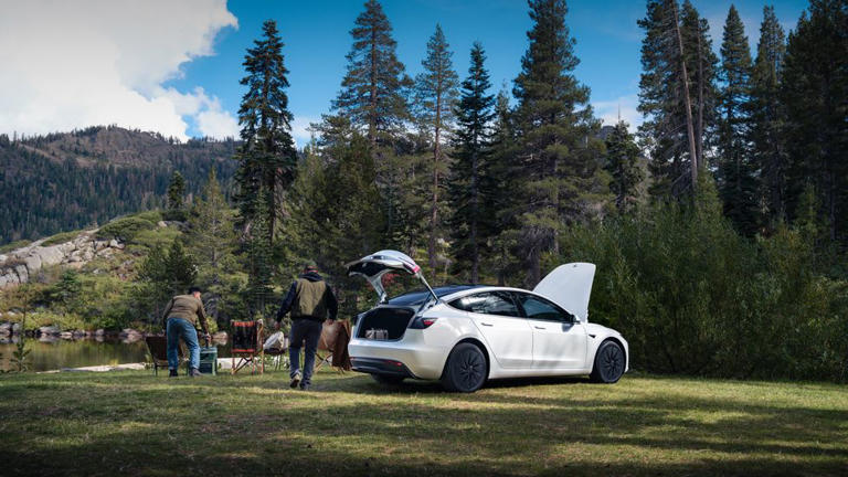 Tesla launches new Model Y and Model 3 as Elon Musk scrambles to boost ...