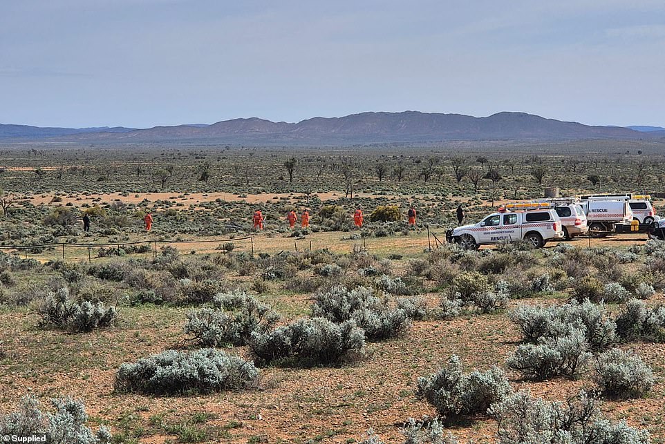 Missing boy, 4, family make an urgent plea to the Australian public