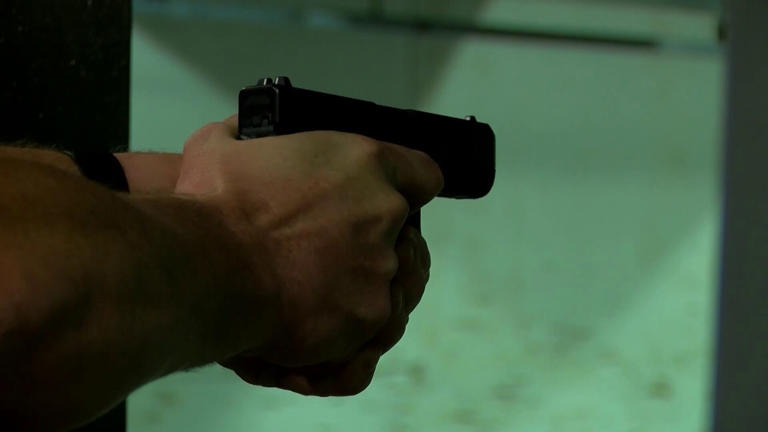 Sun Prairie, Madison police respond to unexpected jump in gun violence
