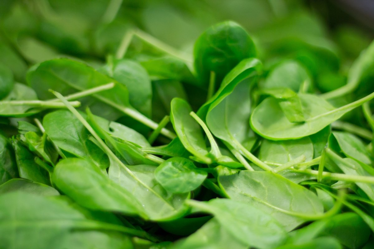 USDA warns of potential listeria contamination in HelloFresh meals