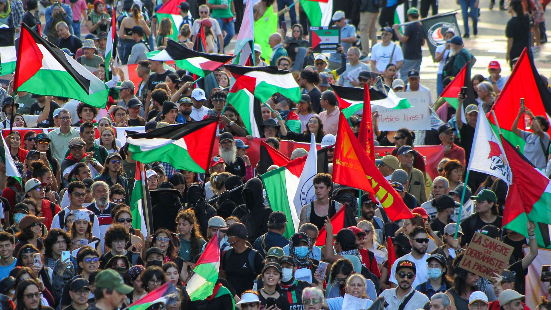 Pro-Palestinian protesters ‘hijacking’ the Opera House for Gaza shamed ...