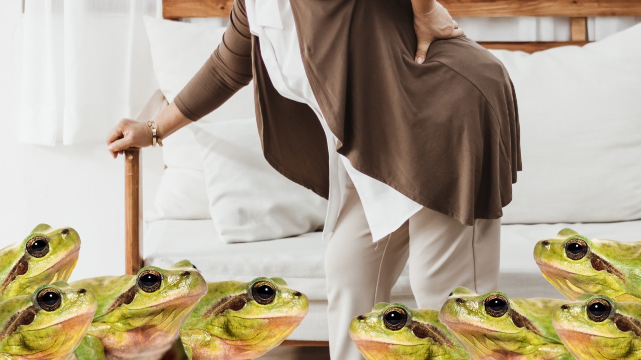 Chinese woman swallows 8 small live frogs for lower back pain ...