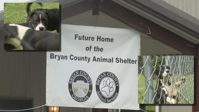 ‘I had to speak up’: Former Bryan Co. Animal Services employees raise ...