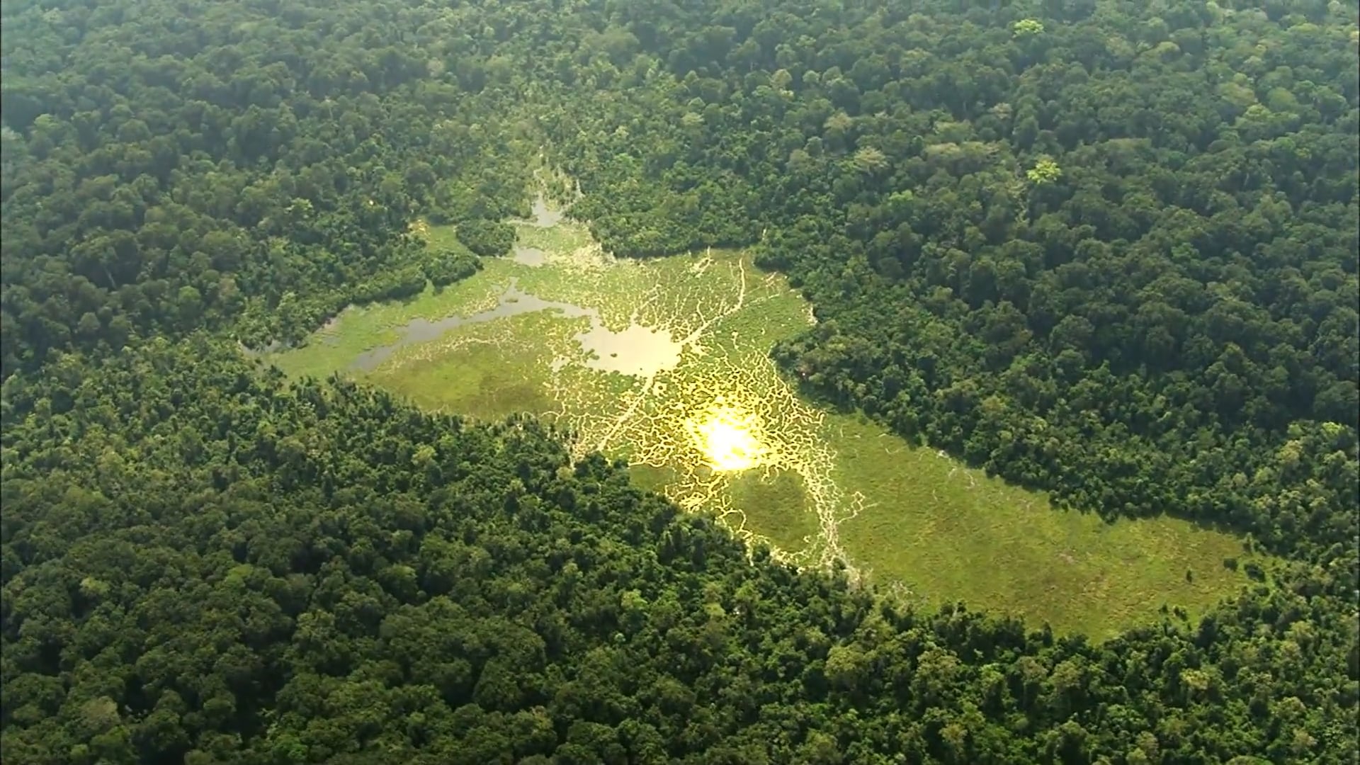 Drooni paljastaa Kongon: maailman toiseksi suurimman sademetsän kotiseudun