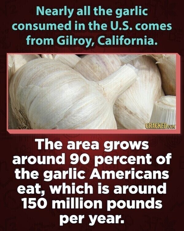 26 Fascinating Facts to Learn Like It's School