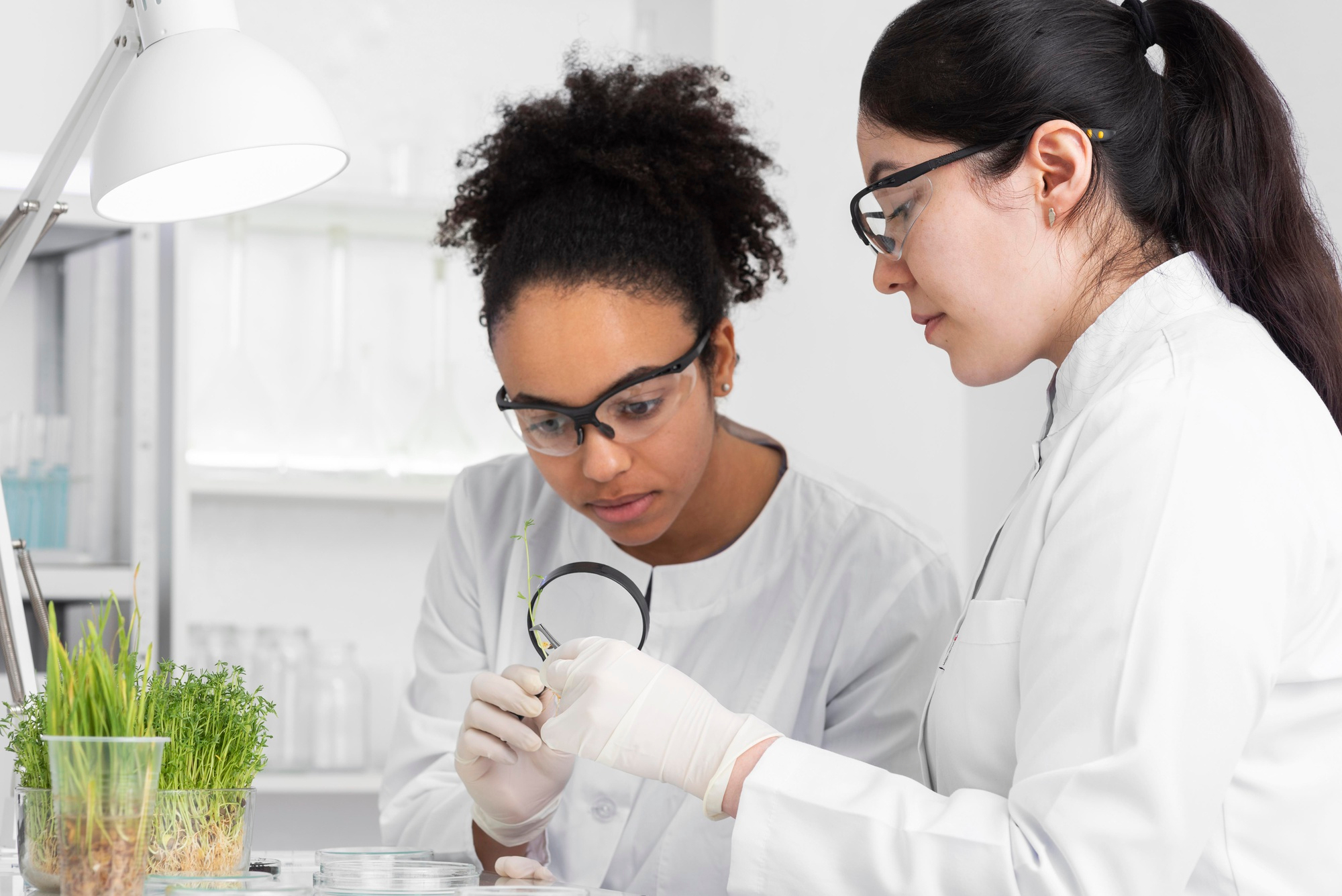 Fête de la science 2025 : Le pouvoir des femmes pour motiver la ...
