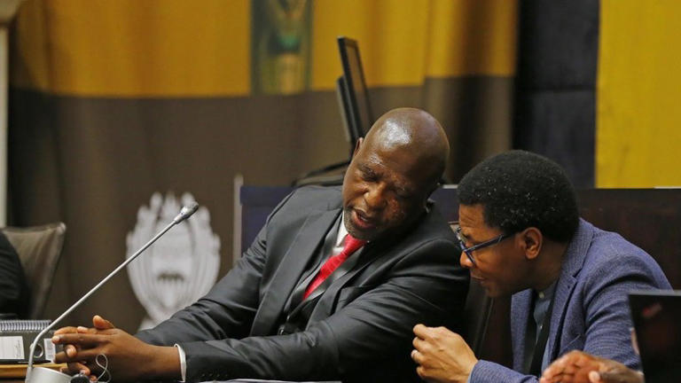 WATCH | Lieutenant General Nhlanhla Mkhwanazi continues explosive ...