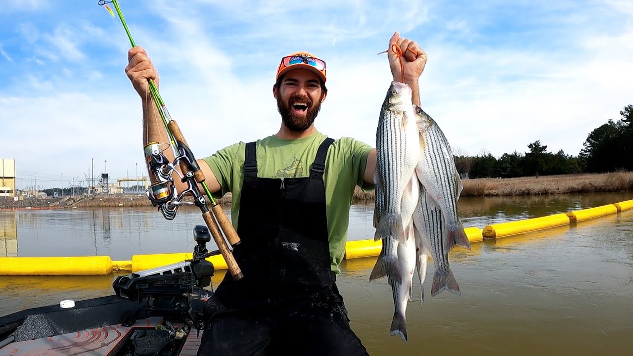 River discharge full of aggressive fish caught and cooked