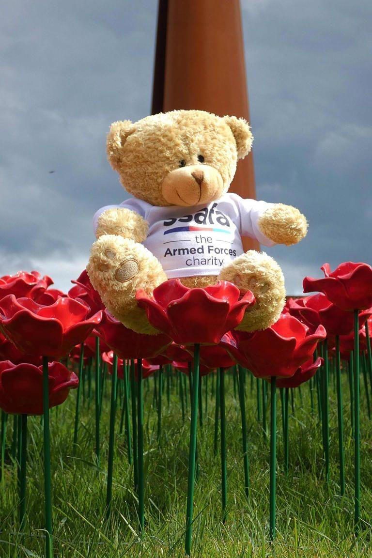 Charity raffles off teddy bear that's spent the year with the Armed Forces