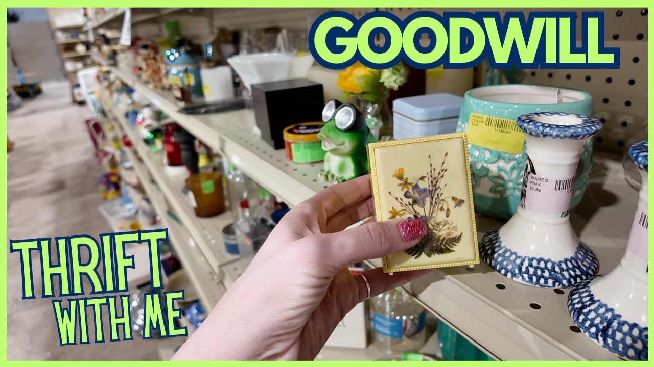 Most Fun Thing at Goodwill | Thrift with Me