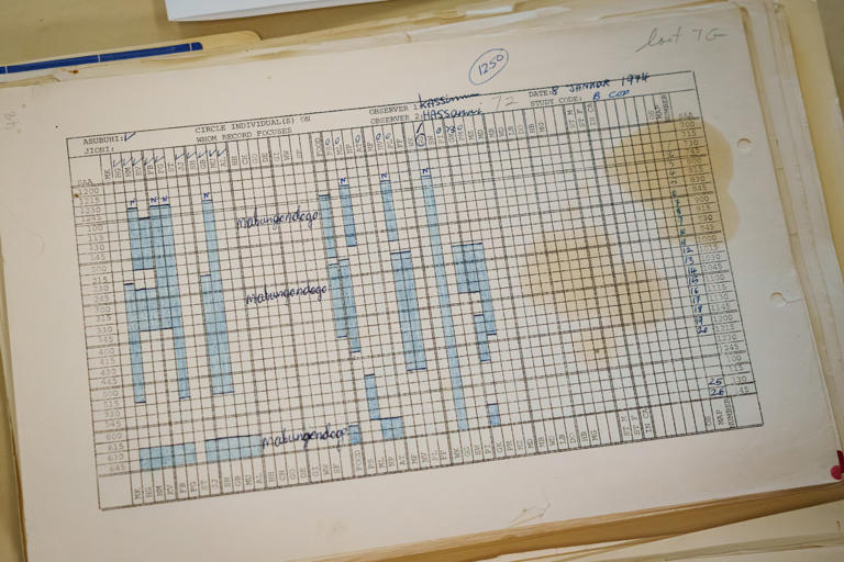 Meet the ASU professor who oversees Jane Goodall's research archive