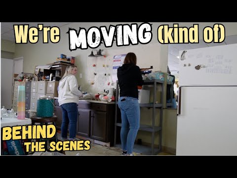 We’re Moving (Kind Of) | Behind the Scenes
