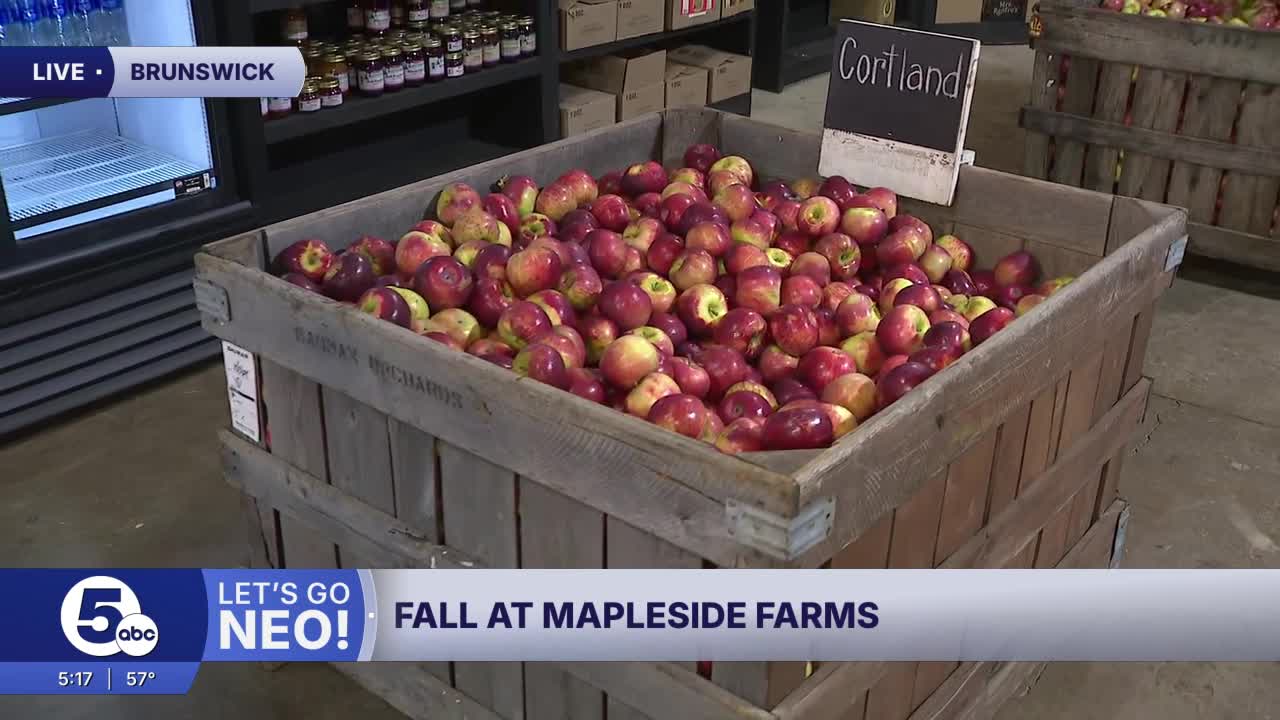 Fall at Mapleside Farms