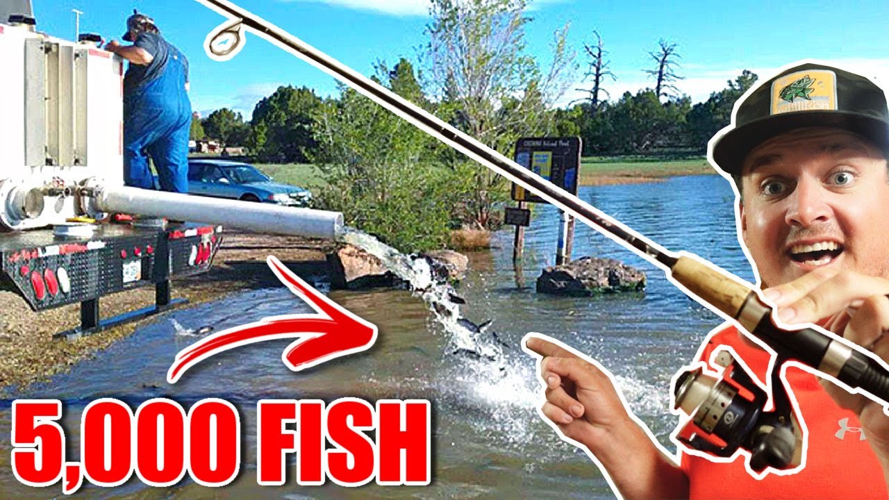 They stocked 5,000 fish and I caught them immediately