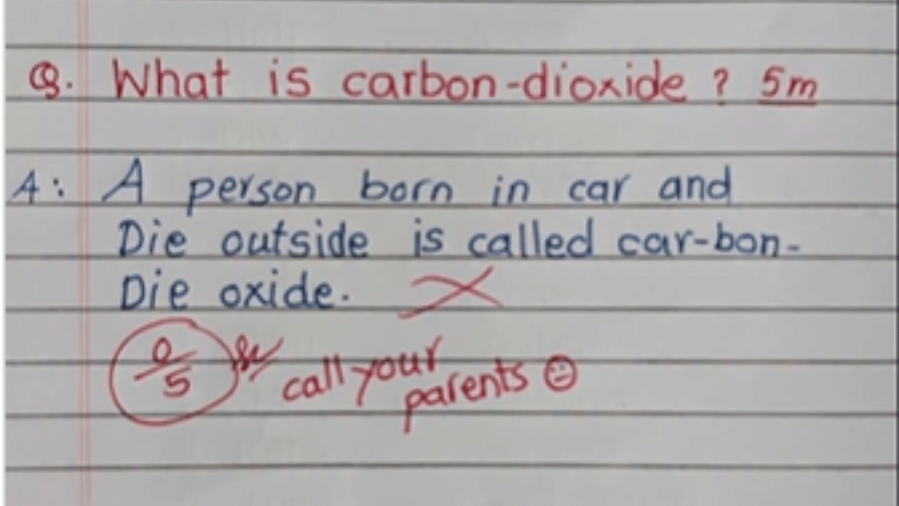 ‘Born in a car, died outside’: Kid’s hilarious answer to ‘what is ...