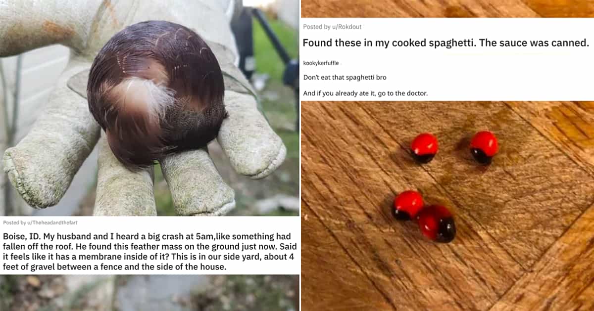 Strange objects people are asking for help identifying