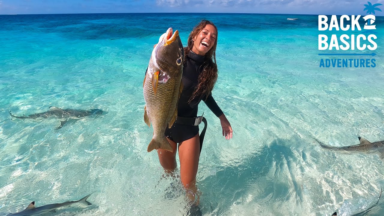 Shark Encounter While Fishing