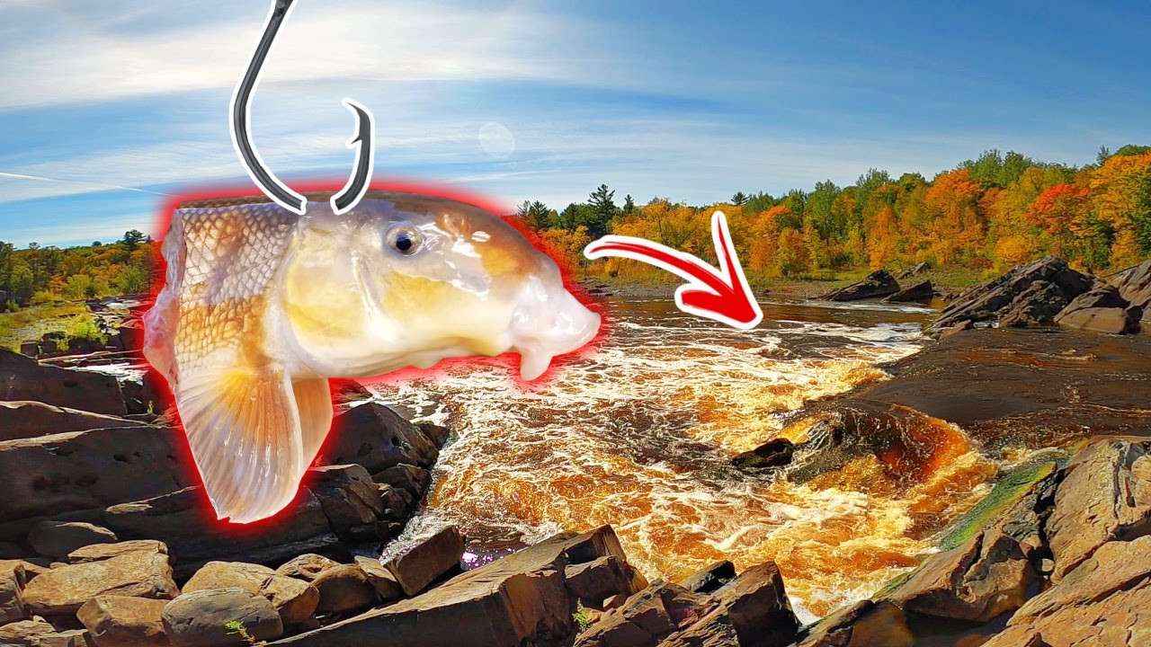 River monsters fill this deep hidden fishing hole