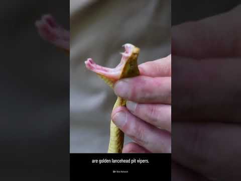 Why this island is considered the scariest place on Earth