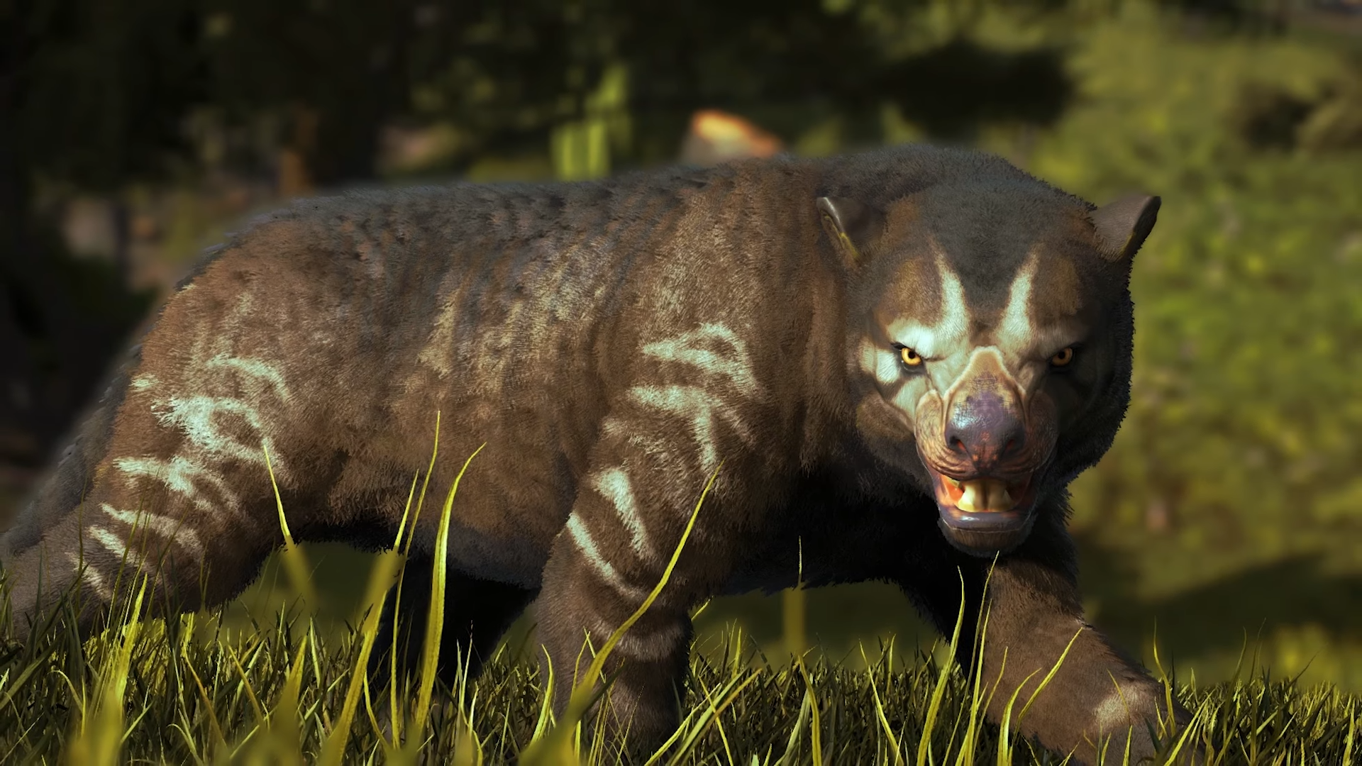 Extinct Beasts Early Humans Once Faced