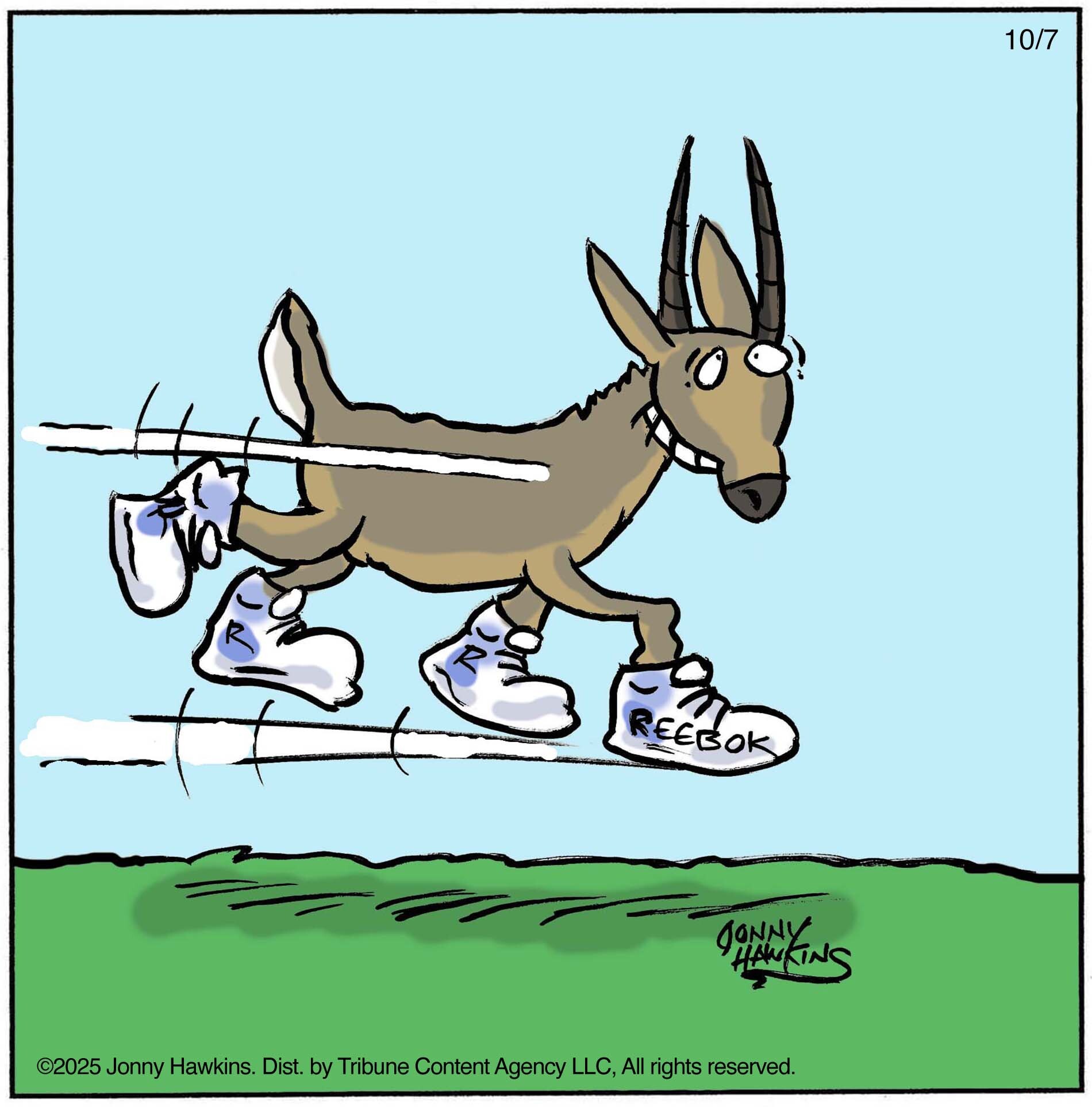 Zoolies by Jonny Hawkins