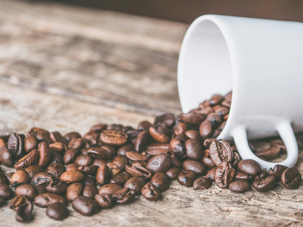 Do your coffee beans have insects? - Here’s what the expert has to say