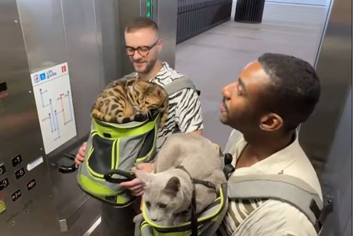 The controversial Tube video TfL refuses to take down