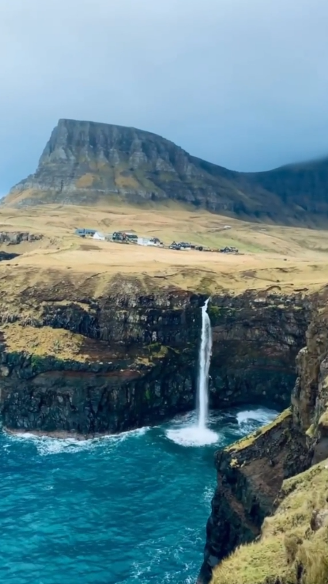 Echoes of Nature: Immersive Sounds of the Wild