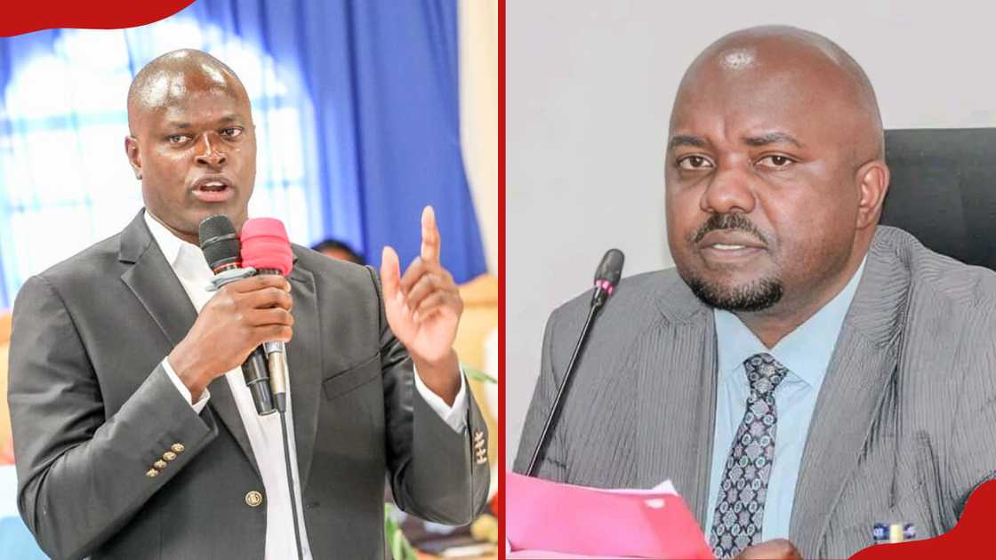 Murang’a: Survey ranks Ndindi Nyoro and Edwin Mugo among most ...