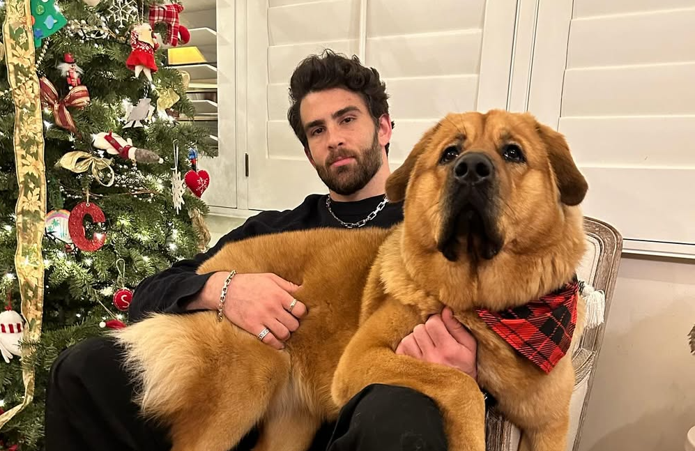 Did HasanAbi use spiked collar on his dog? Viral claim explored as ...