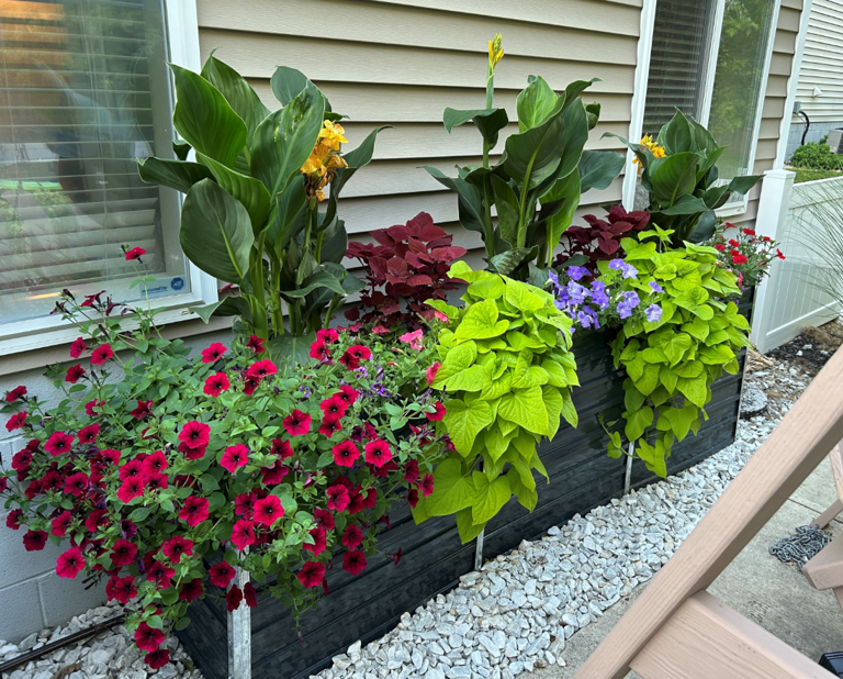 An oasis 20 years in the making wins top honors in 2025 Dispatch ...