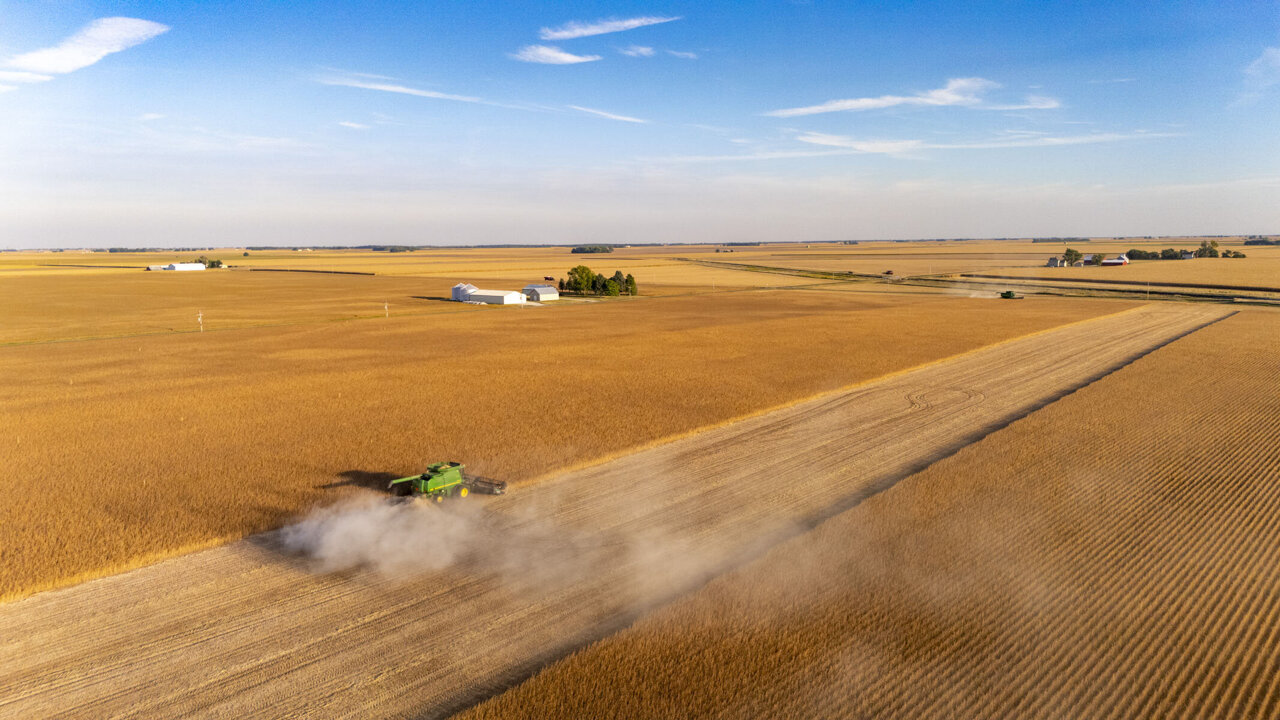 Once dominant, US agricultural exports falter amid trade disputes and ...