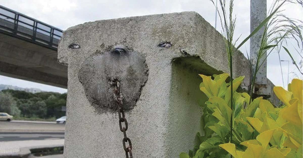 Random Things That Somehow Look Like They're Alive