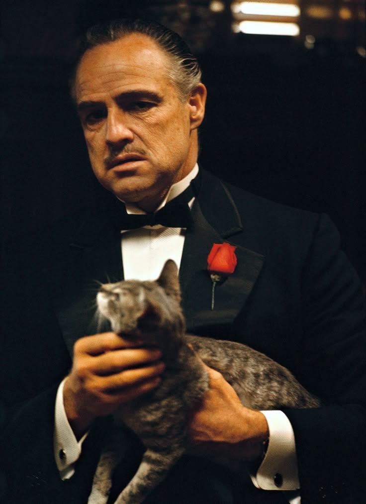 Photos Inside The Weird, Wacky World Of Marlon Brando