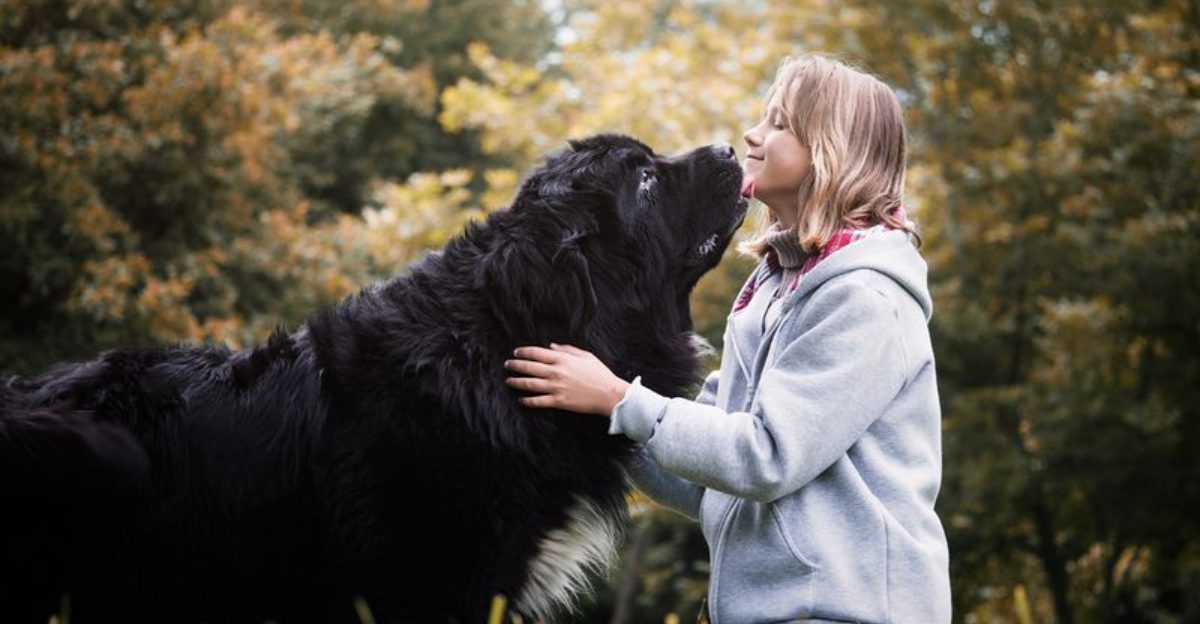 25 Gentle Giants: Large Dog Breeds Known for Their Loving Temperament