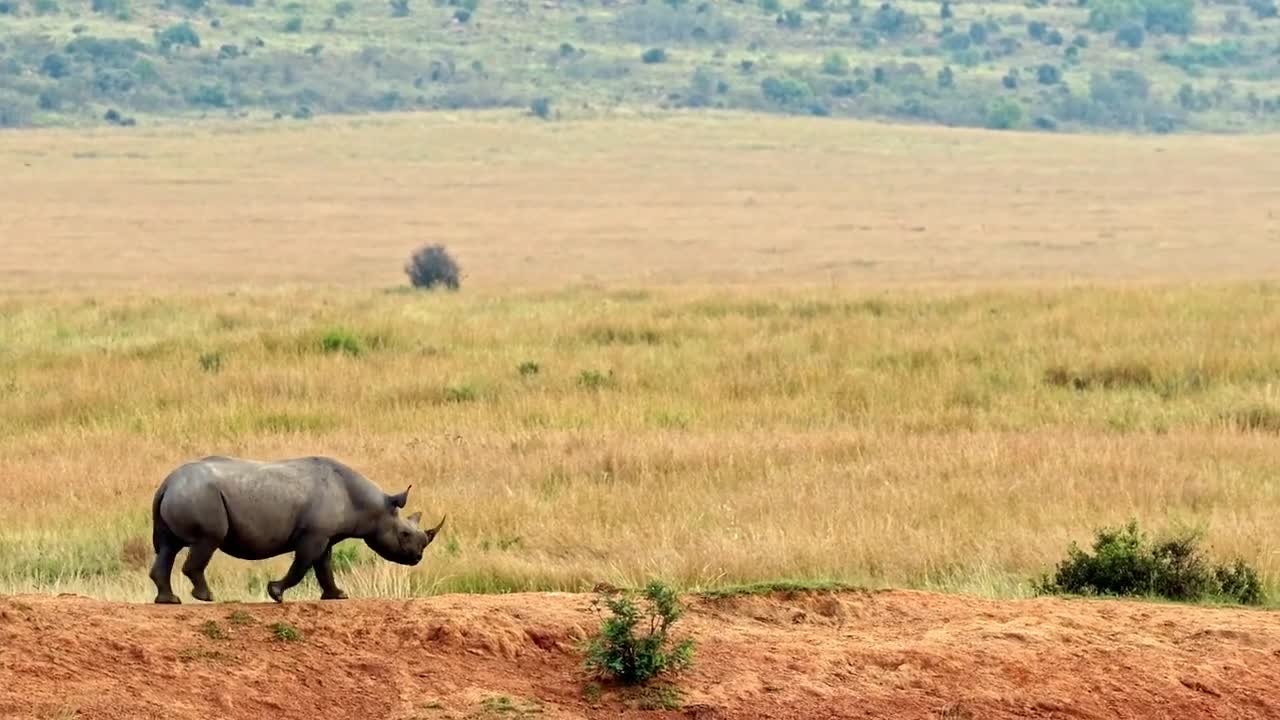 Drone Views of South Africa's Stunning Terrain