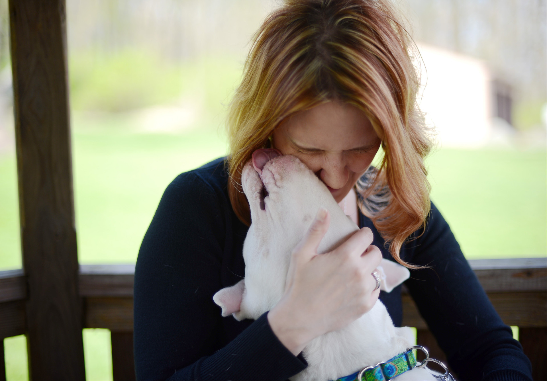 Why some people love animals, according to science