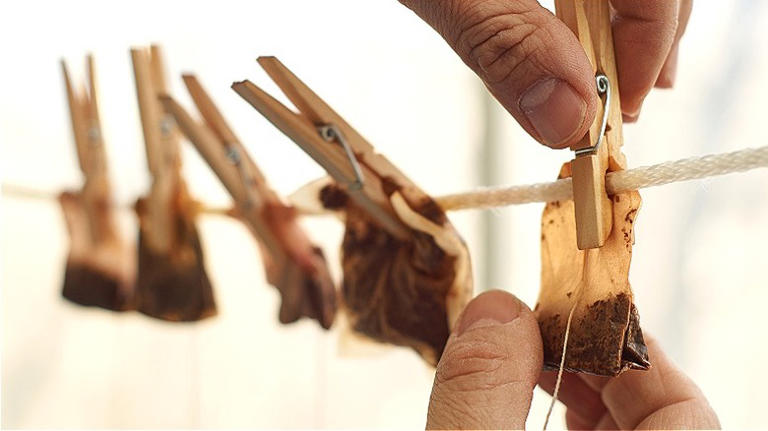 How To Repurpose Used Tea Bags Around Your Home