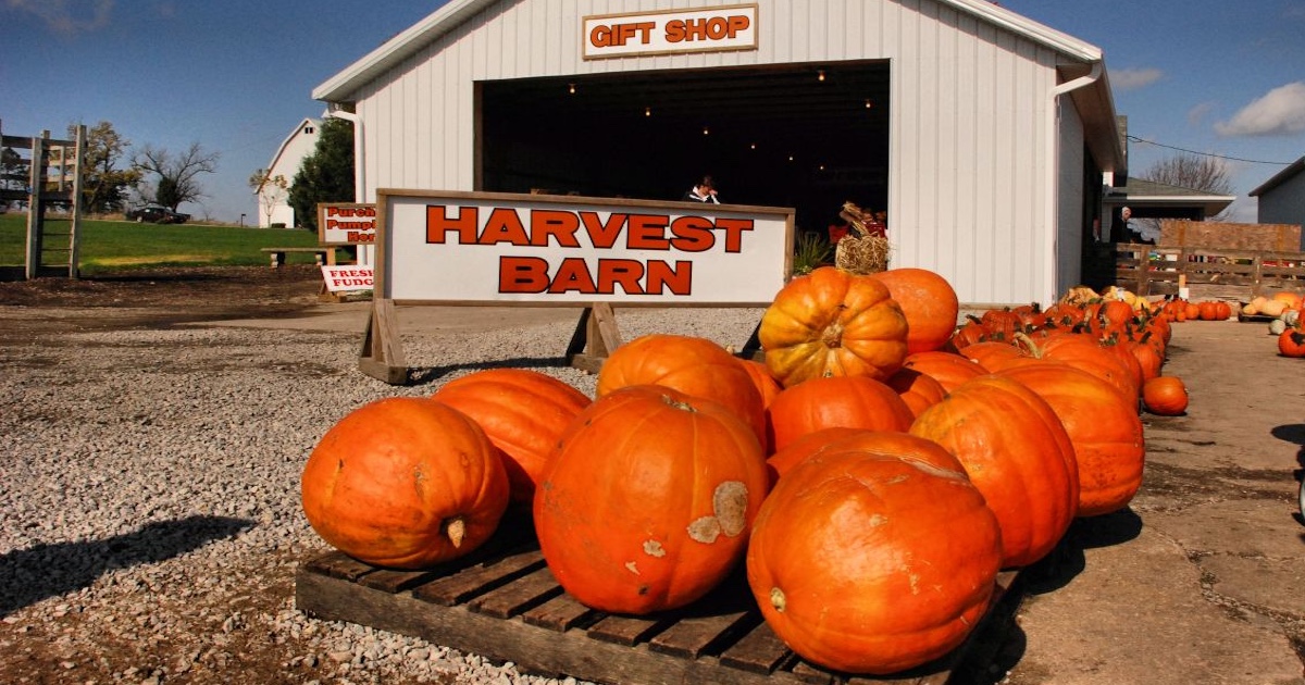 Here Are the 6 Absolute Best Pumpkin Patches in Iowa to Enjoy in 2025