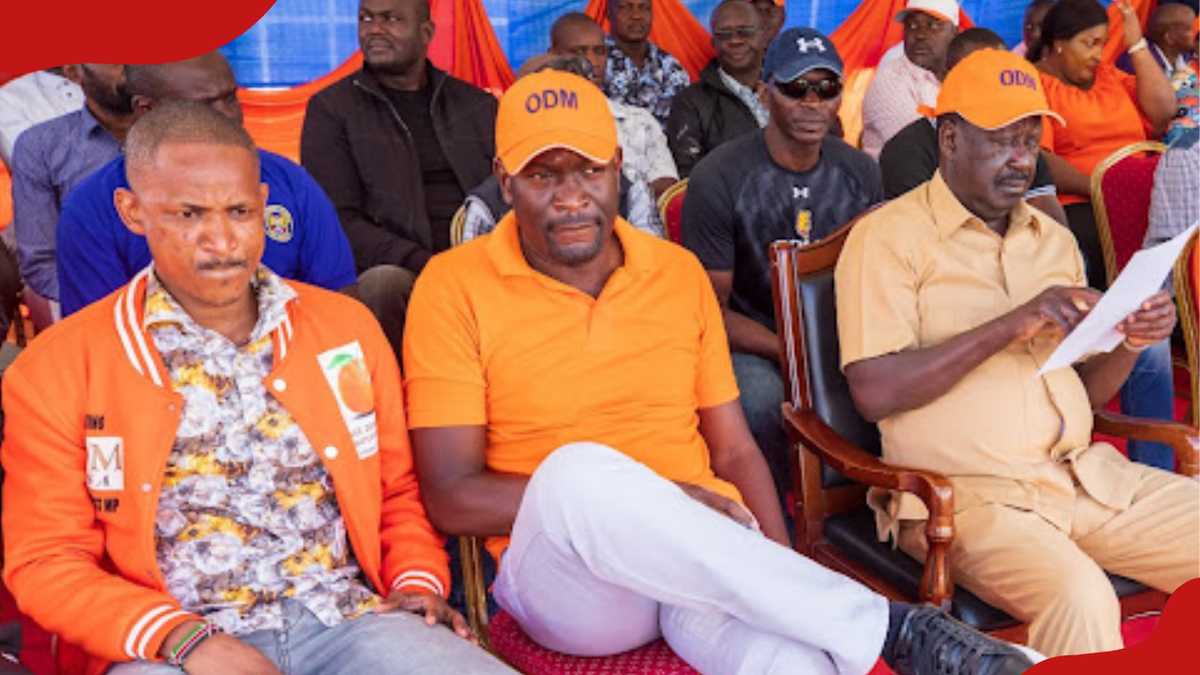 Edwin Sifuna vows to call Babu Owino to campaign for Boyd Were in Kasipul mini poll: “Lazima tupate”