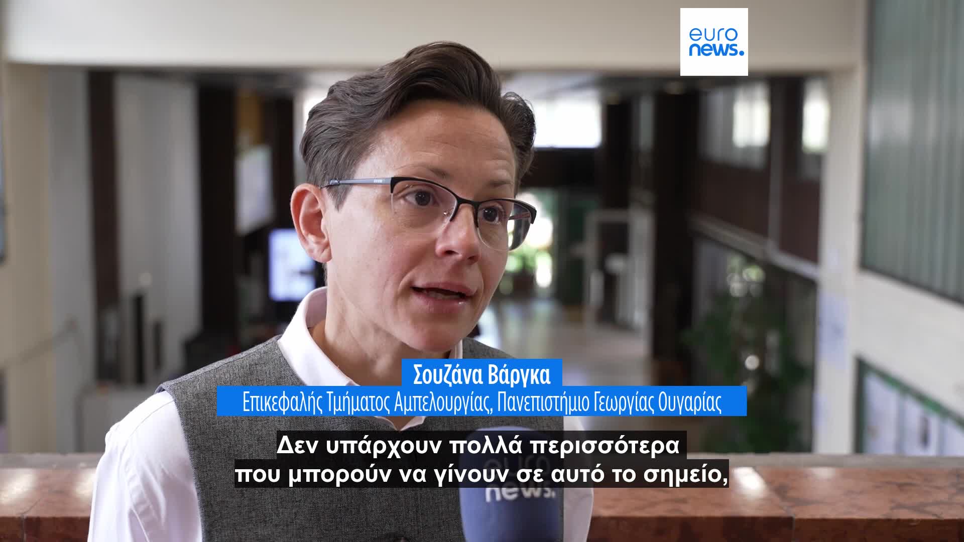 Ουγγαρία: Ο ιος του κίτρινου μωσαϊκού απειλεί τους αμπελώνες