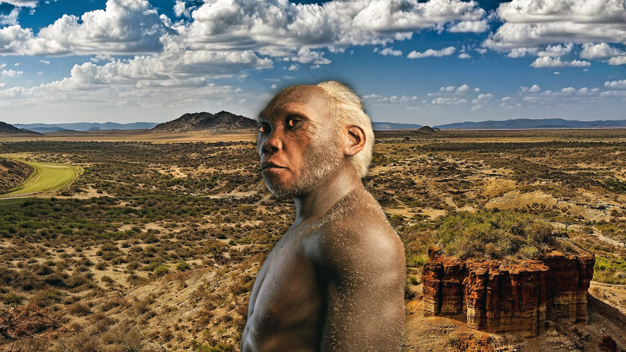 2.3 Million-Year-Old Homo Habilis: The First Human or Just Another Ape?