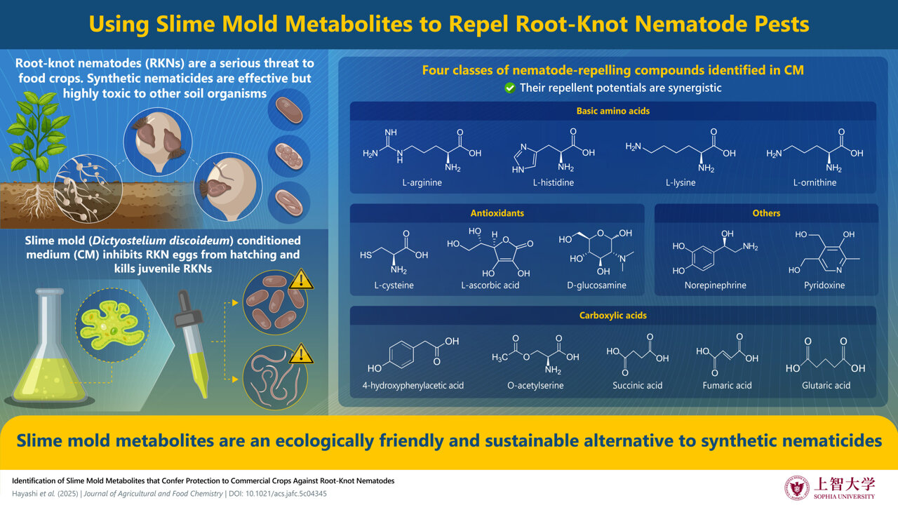 Slime mold metabolites are a promising, eco-friendly repellent of root ...