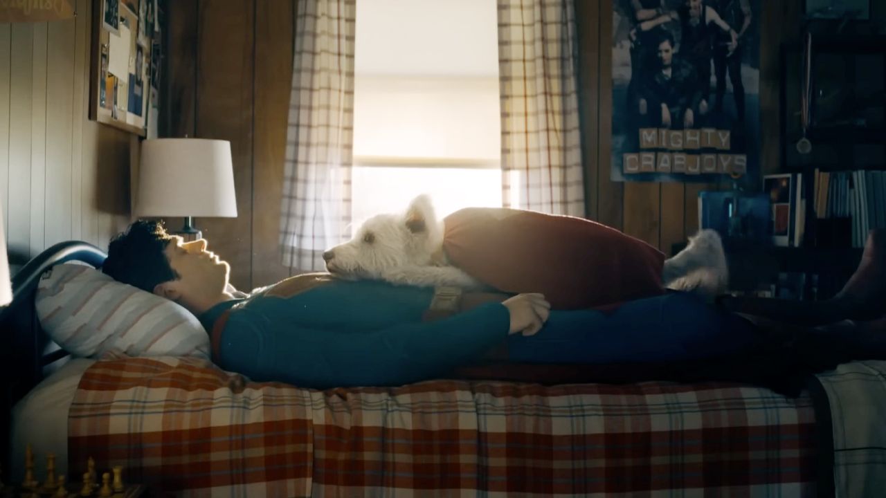 David Corenswet Says Most Set Dogs Are Real Fakers, But Opened Up About ...