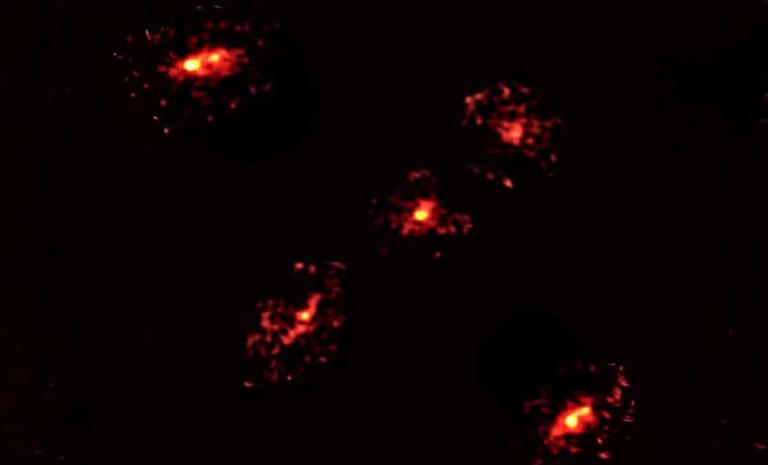 Rare Einstein Cross Reveals Massive Dark Matter Halo That Can’t Be Seen ...
