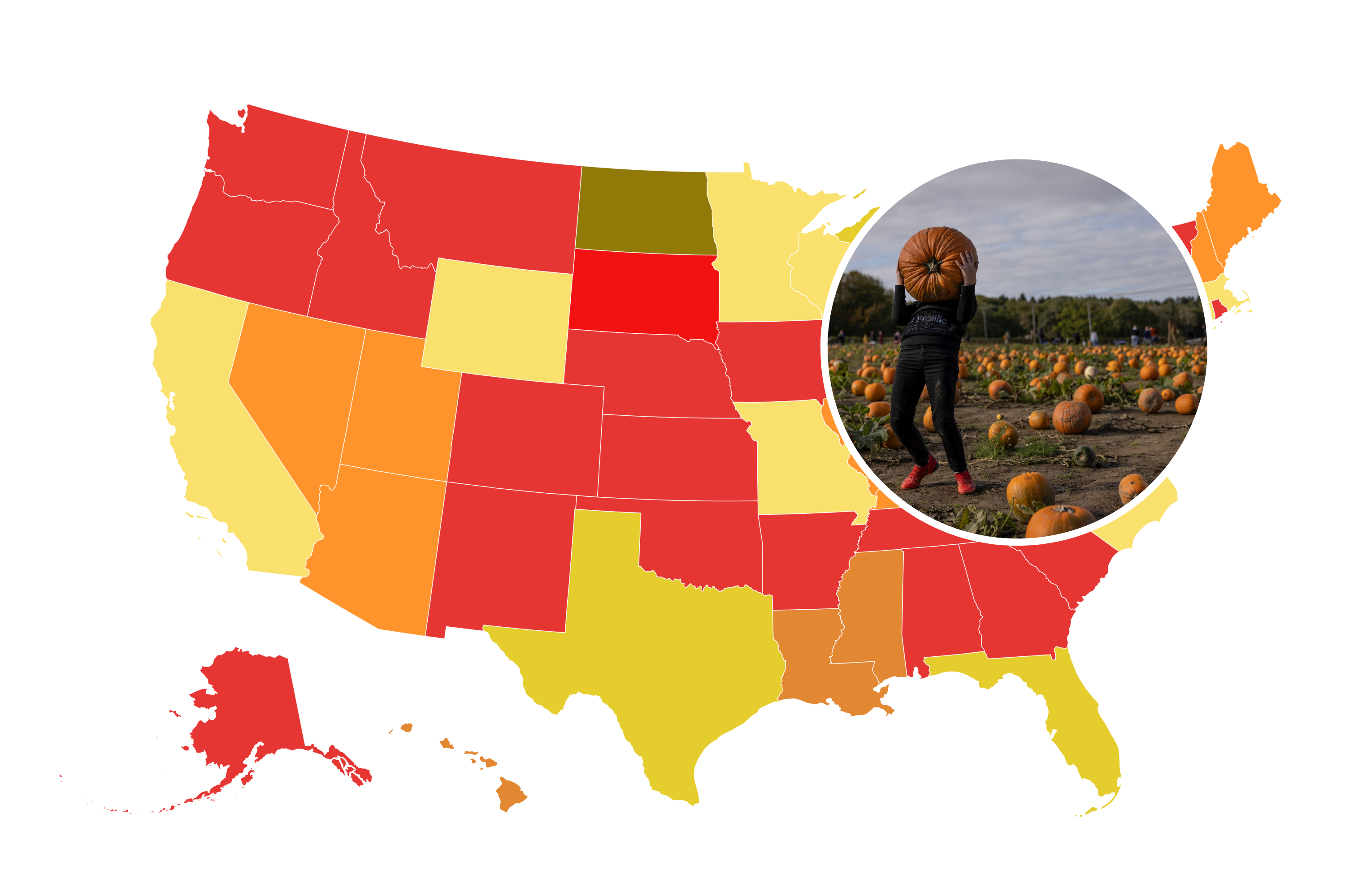 Map shows most popular pumpkin foods in each state