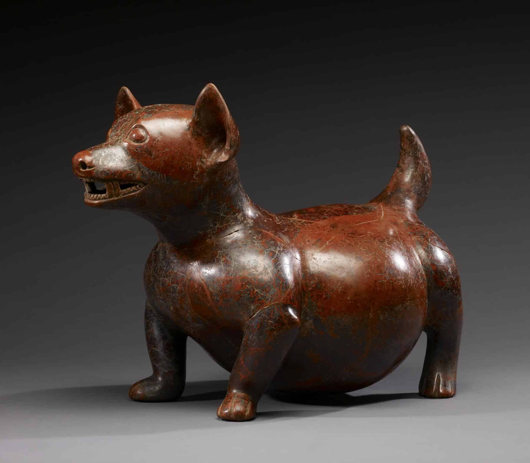 30 Amazing Dog Breeds That Went Extinct